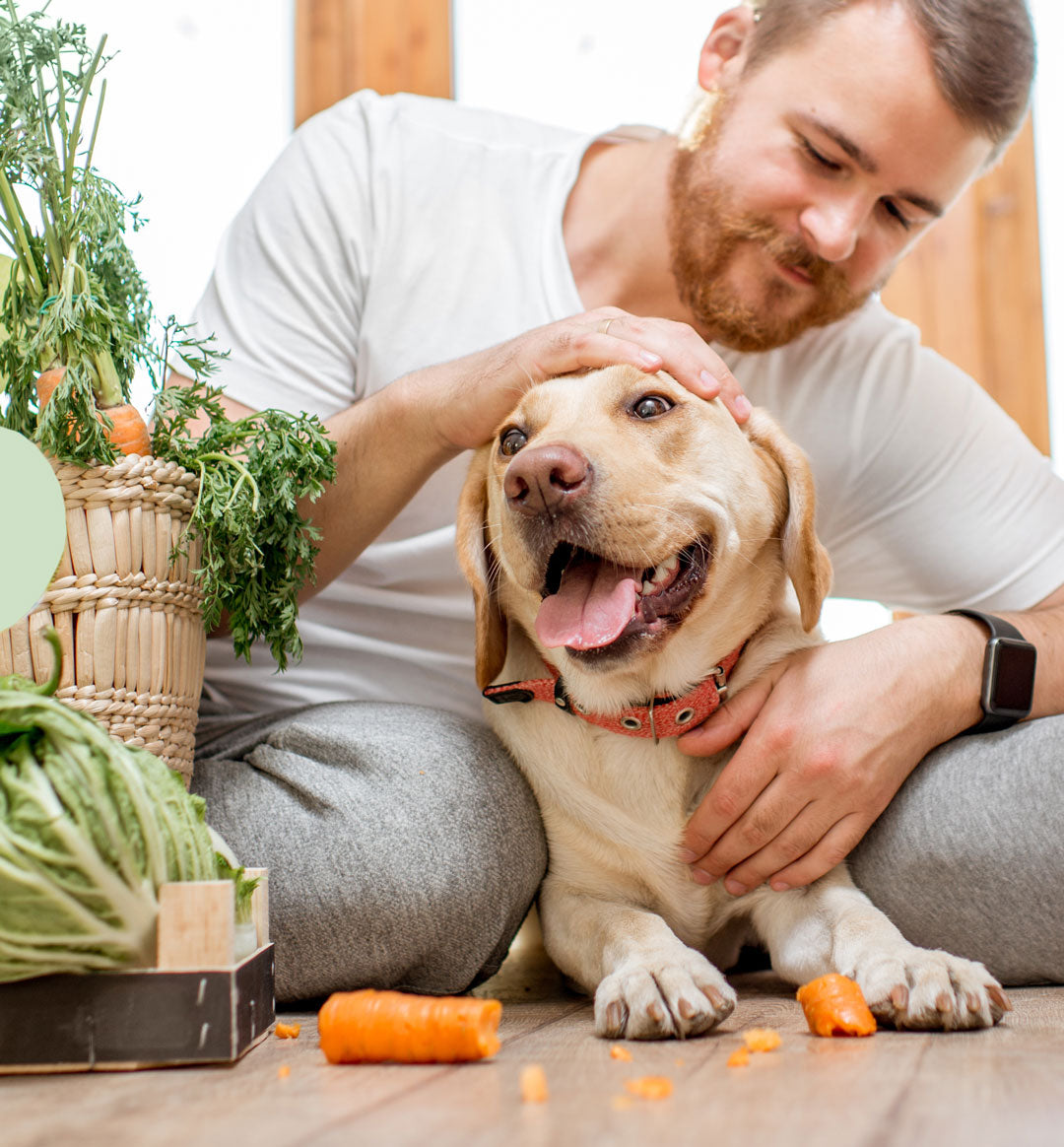 Help Us Feed Dogs in Need | 100% PURE