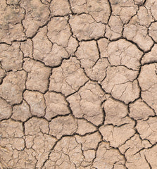 10 Ways You're Drying Out Your | 100% PURE