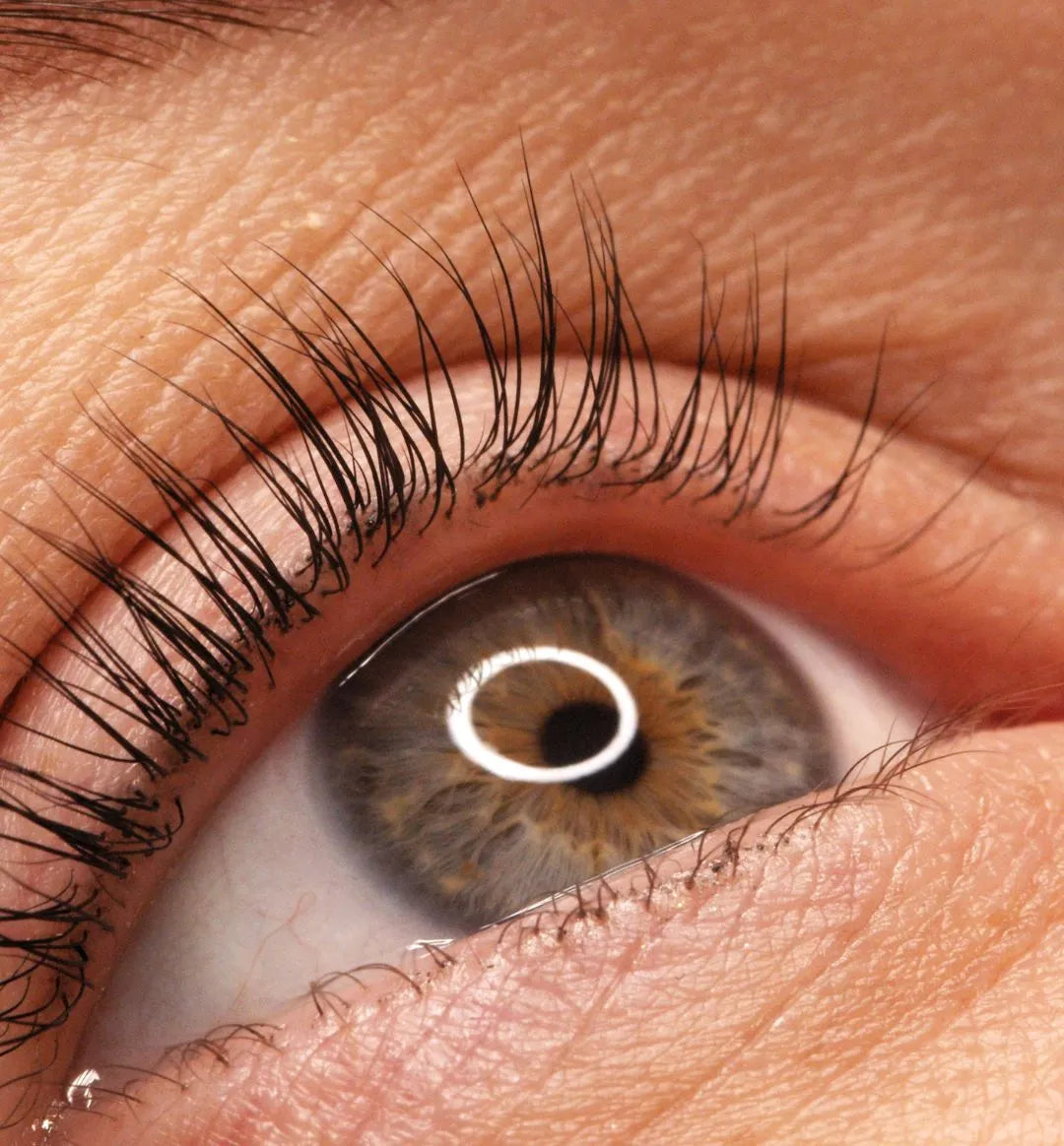 normal eyelashes up close